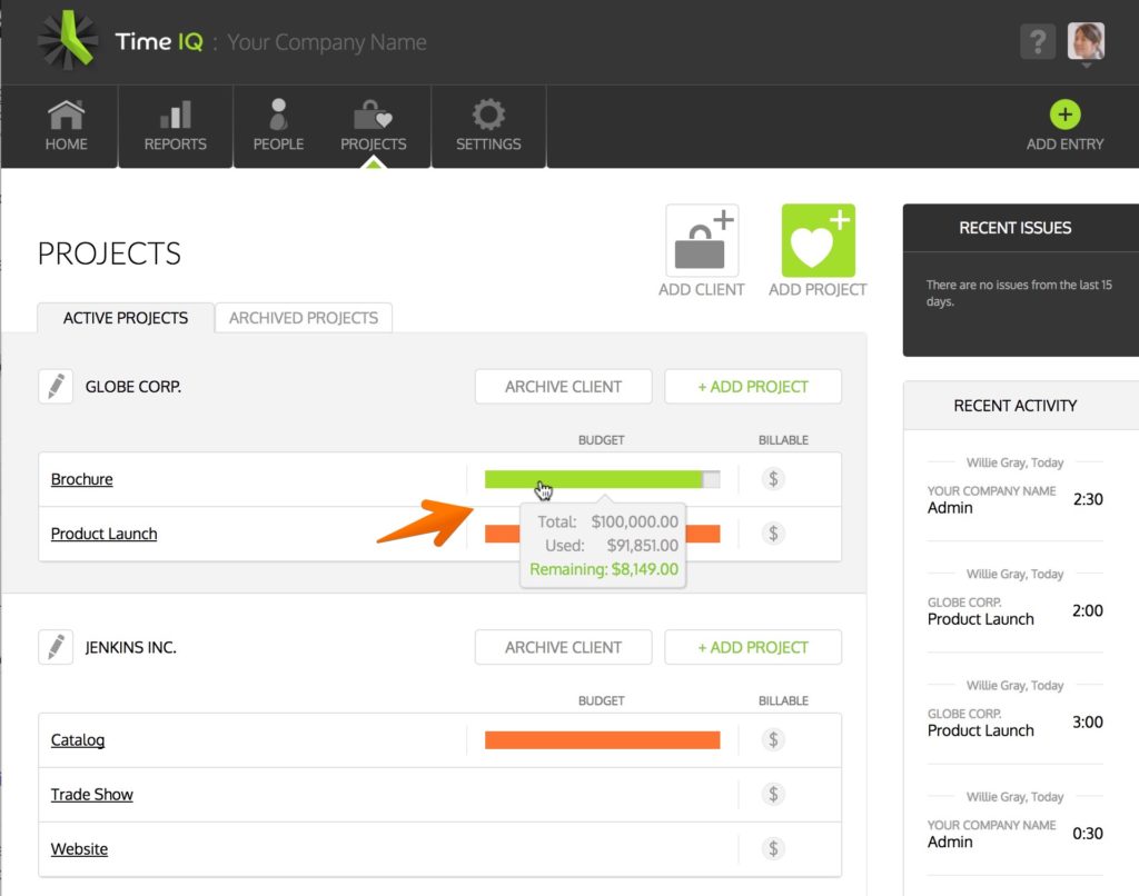 Budget Tracking Overview | Project Budgets | Help Center | Time IQ